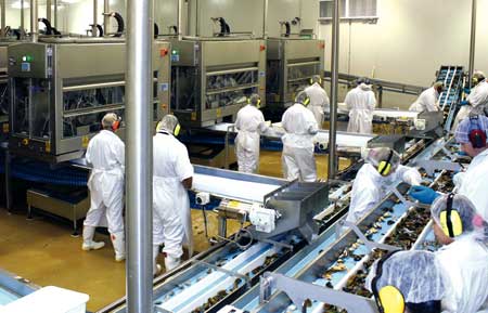 NIMP-FOOD PROCESS: Processor unveils world-first shellfish processing ...