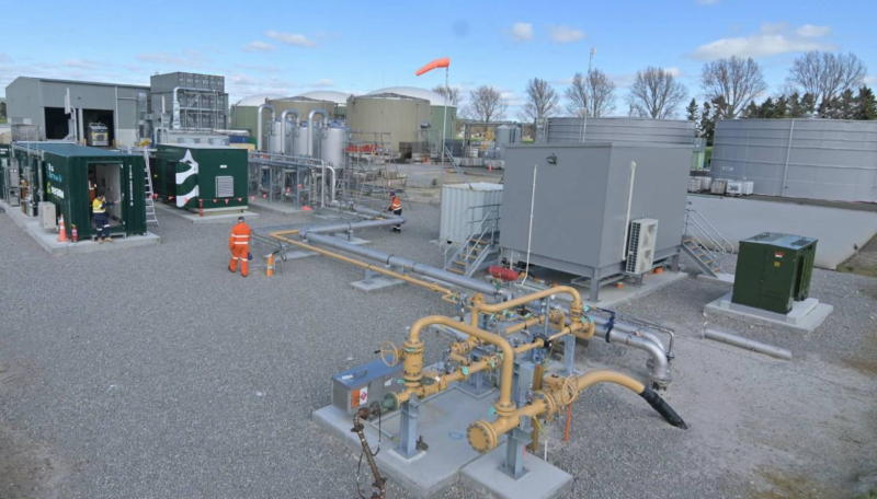 Renewable gas flows in New Zealand pipeline for the first time | DEMM ...