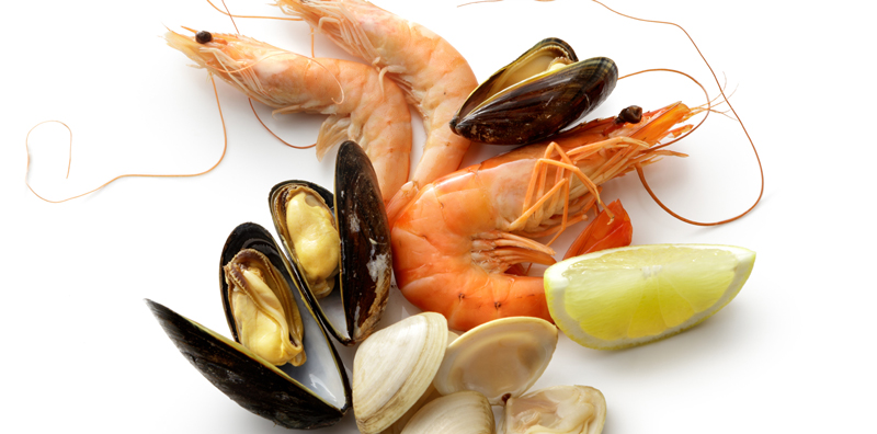Resilient solution for shellfish processing | DEMM Engineering and ...