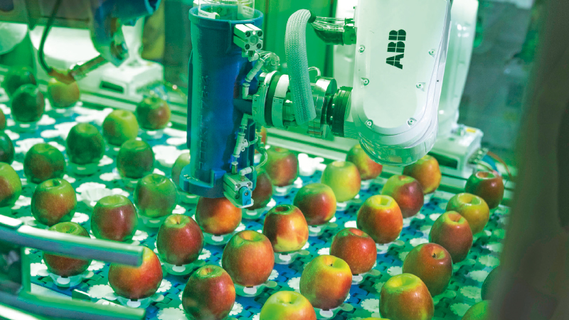 Robots aiding expansion of innovative apple company | DEMM Engineering ...