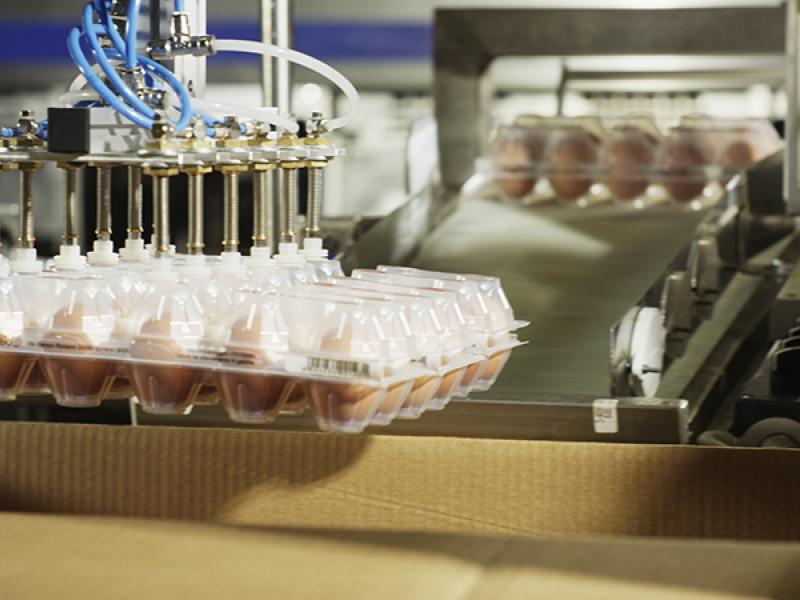 Demystifying Robots, Cobots & Industry 4.0 | DEMM Engineering and ...